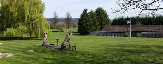 Boarding - Crossways - Boarding, Hydrotherapy & Grooming